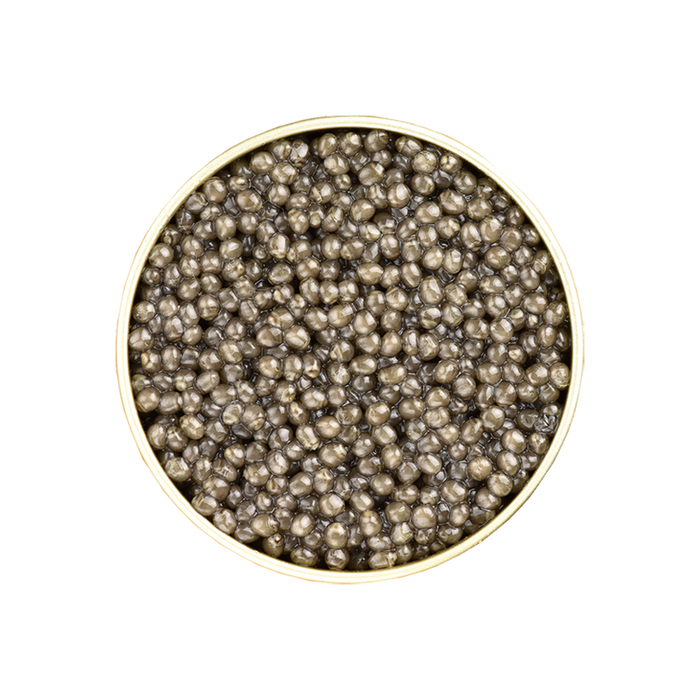 Authentic Beluga Caviar Online – Luxury Huso Huso Sturgeon Roe